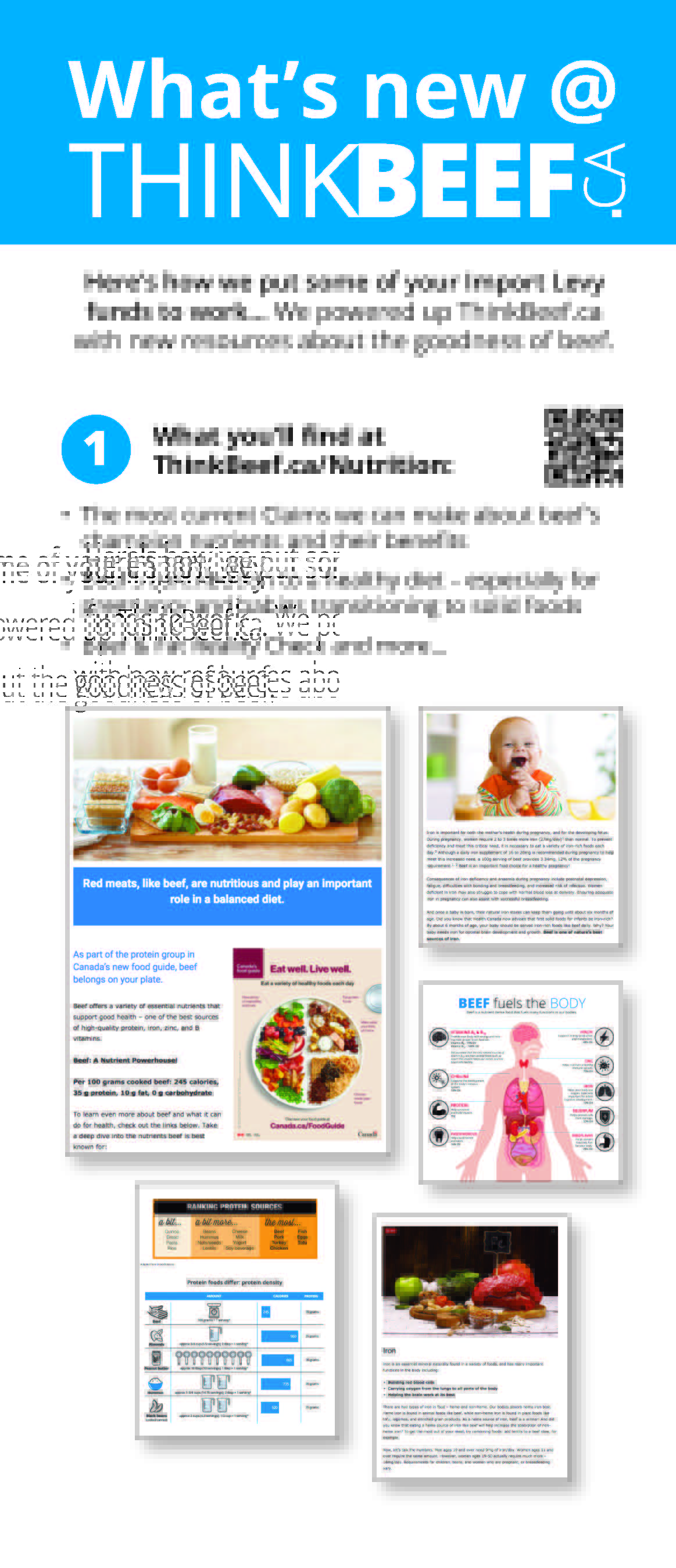 ThinkBeef Gets Power Up - Canadian Beef Cattle Check-Off