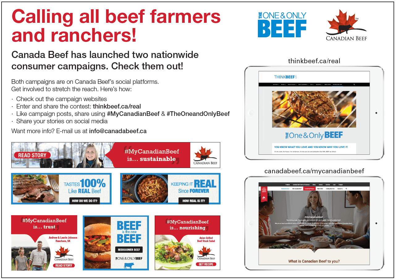 Beef Steps Up: National Consumer Campaigns aim to put the Spotlight on ...