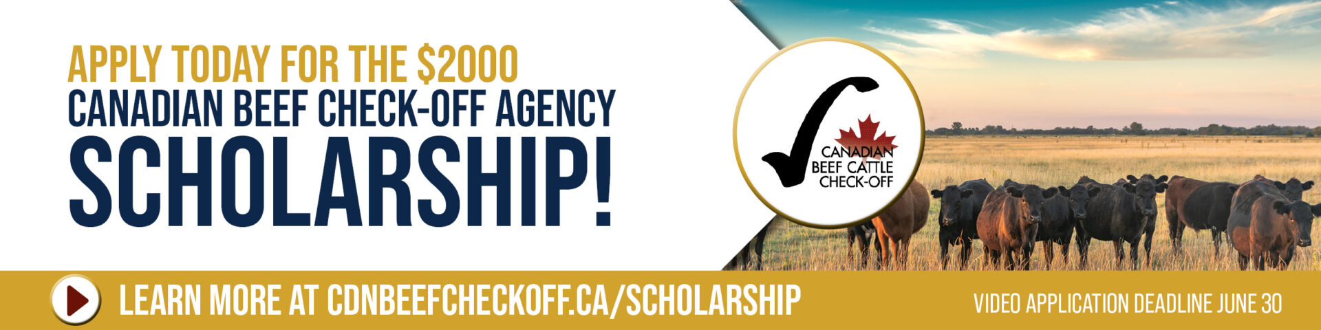 Scholarship - Canadian Beef Cattle Check-Off